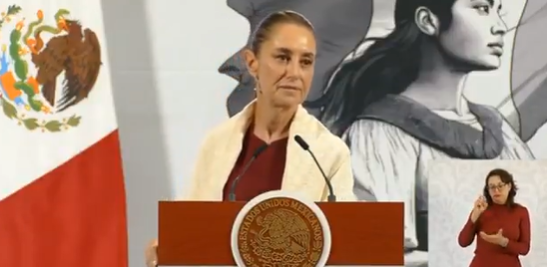 Sheinbaum le pone un “estate quieto” Andrea Chávez; propondrá reglas ...